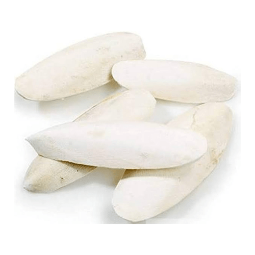 Cuttlefish Bone - Imran Seafood